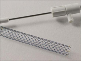 Percutaneous Transhepatic Biliary Drainage – Dr. Manish Rajput